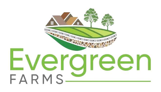 Evergreen Farms